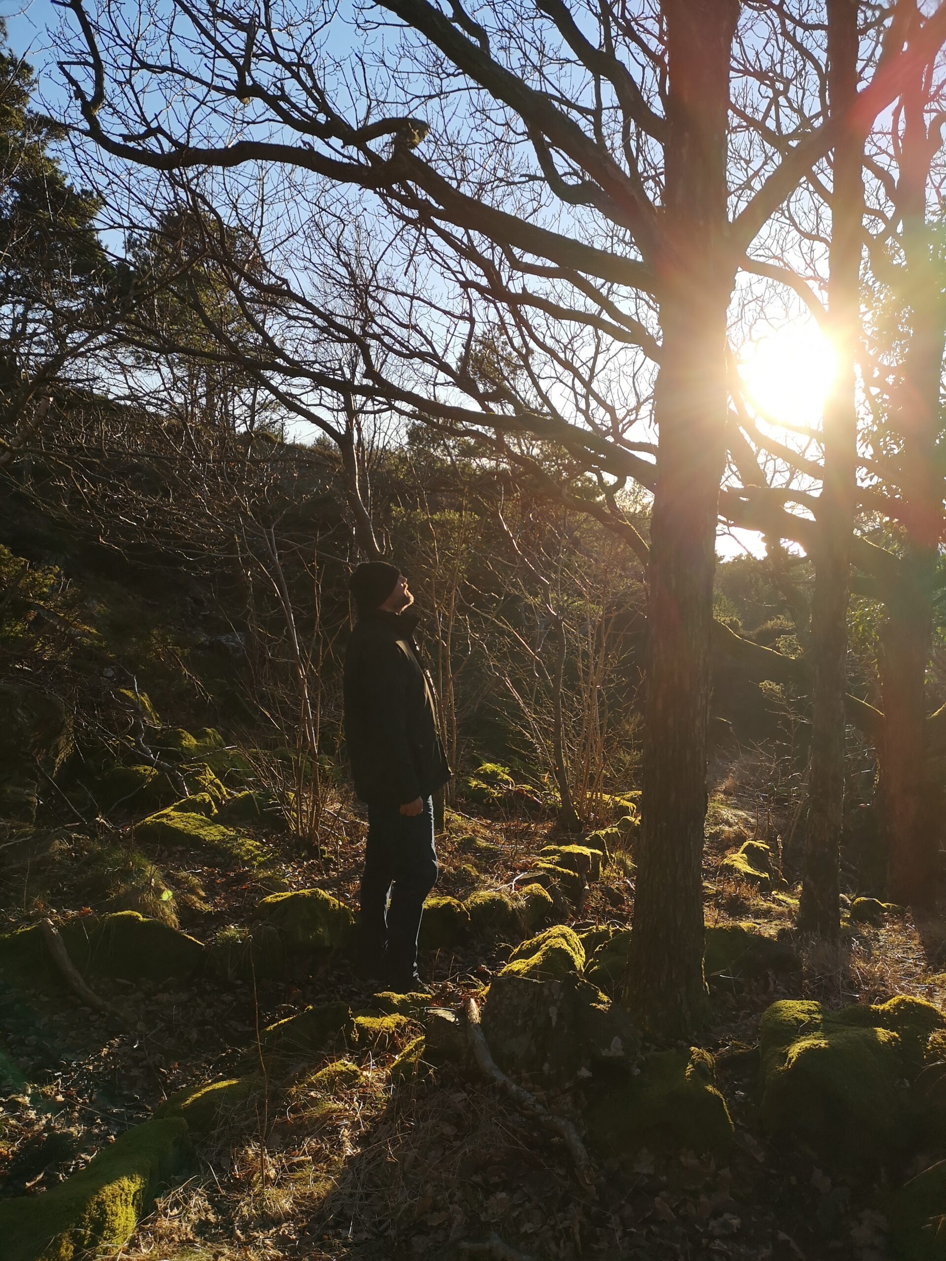 Mindful Forest – Skogsbad, nyttevekster, naturkontakt