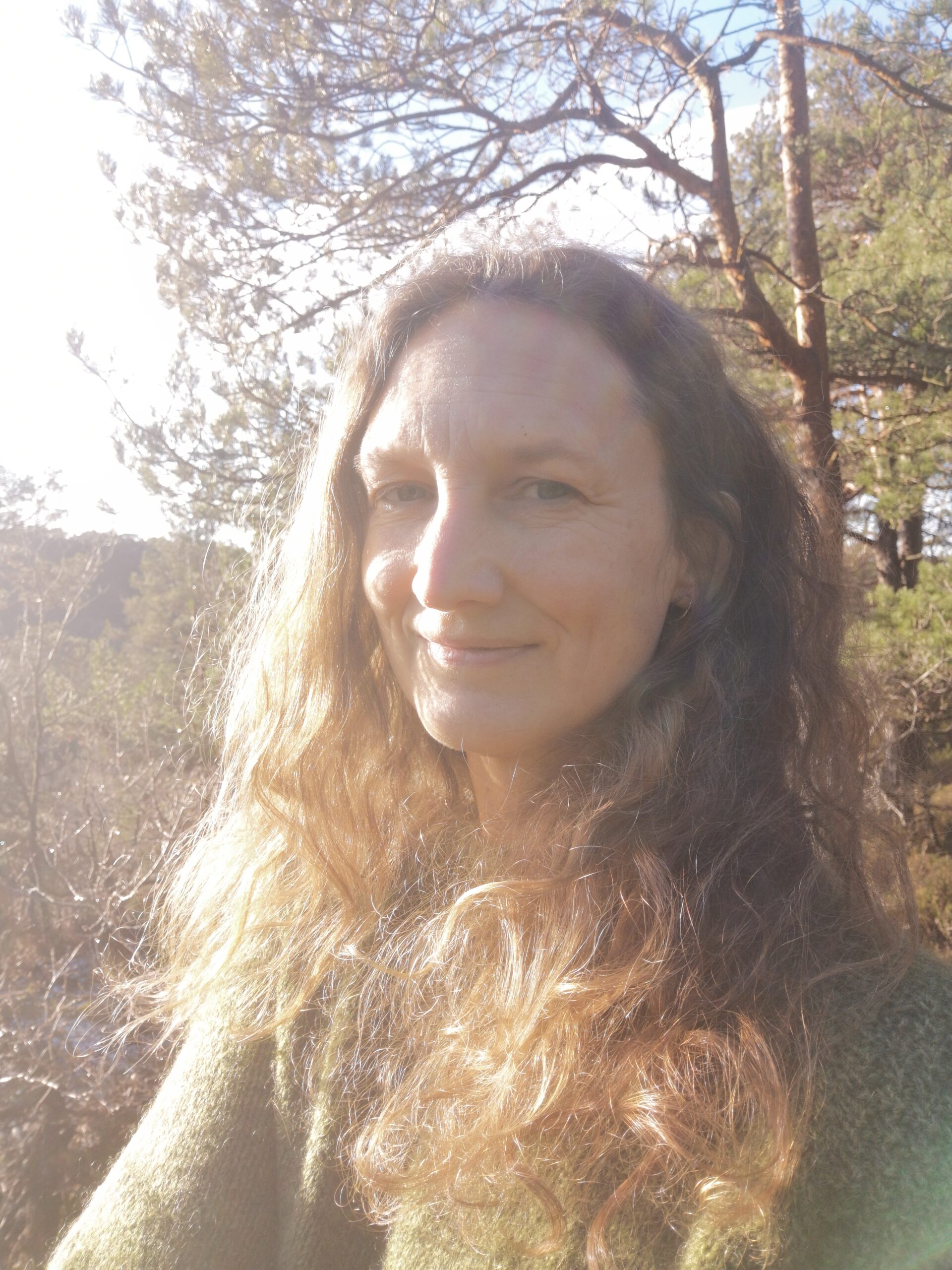 Om meg – Mindful Forest